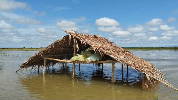 Ongoing floods take a toll on farmers in Bago's Nyaunglebin » Myanmar ...